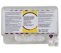 Bronchi-Shield III (Intranasal) 25x1