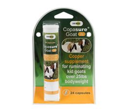 Copasure Copper Supplement for Kid Goats 2gm, 24 Capsules