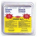 Duramune Max PV 25x1