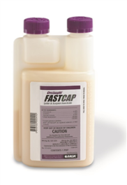 Onslaught FastCap Spider & Scorpian Insecticide 16oz