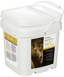 WellSolve W/G Well Gel Complete Supplement for Horses 25lb